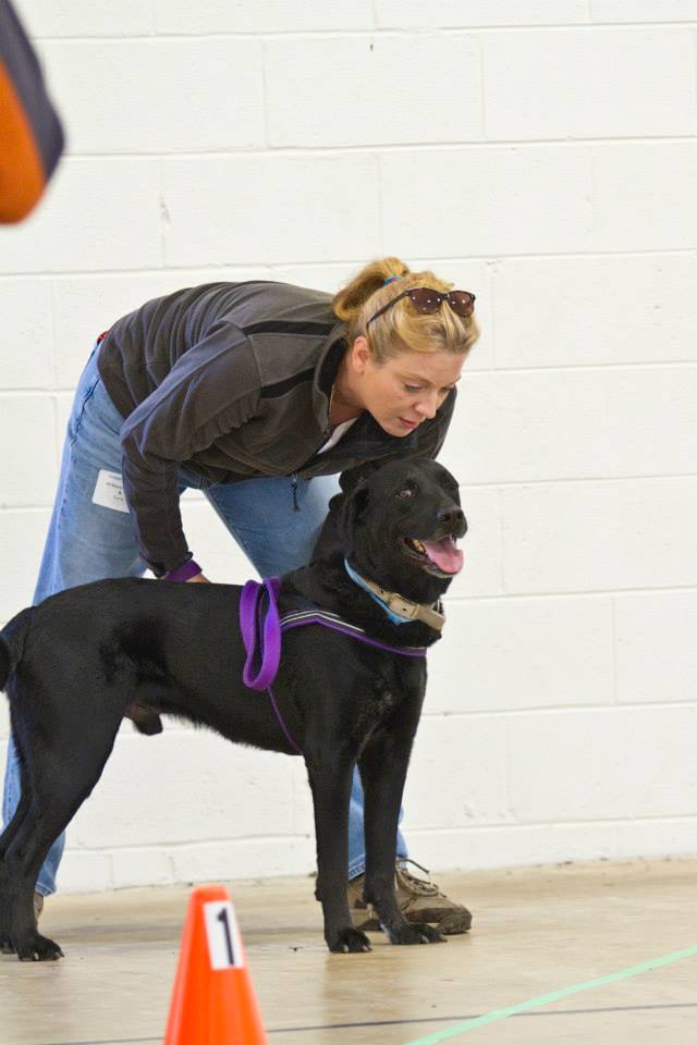 Jill Snyder - For Your K9
