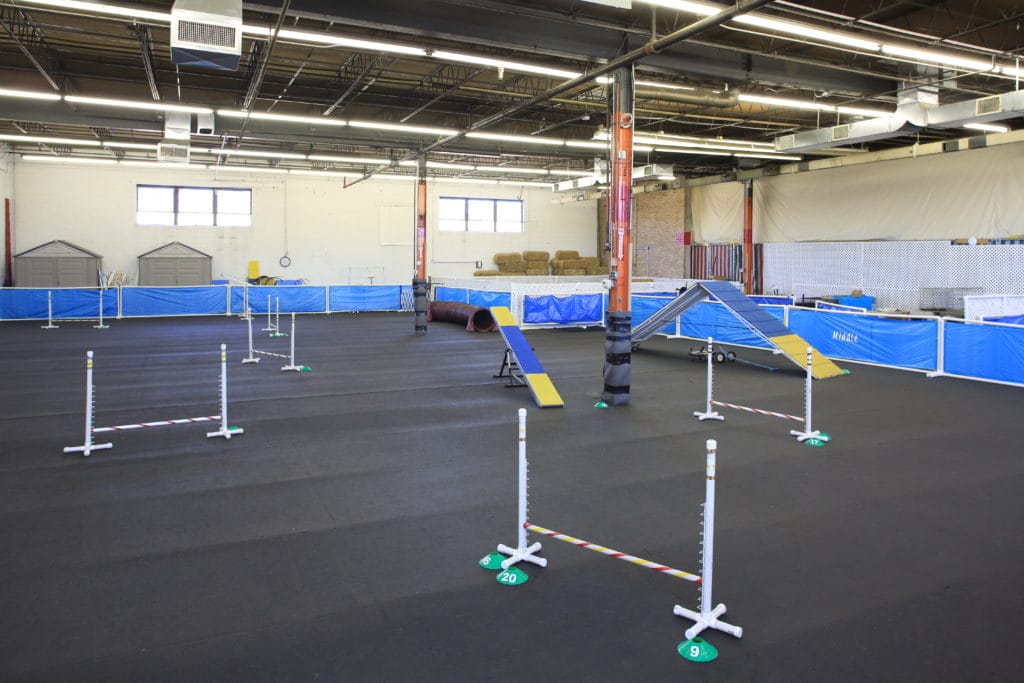 About Us - For Your K9 Chicago Dog Trainers