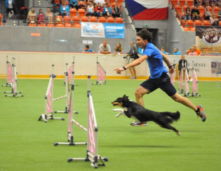 Fabio Festi - For Your K9