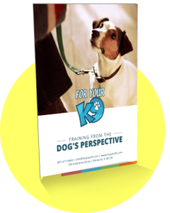 Dog & Puppy Training | Dog Sports | Obedience Training Classes For Your K9